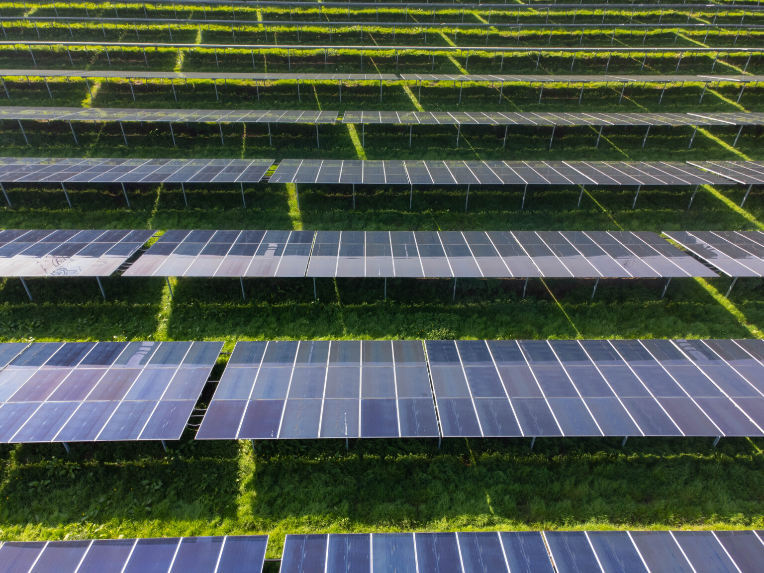 Renewable energy developers | Enso Energy